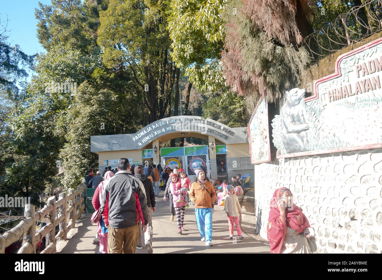Padmaja Naidu Himalayan Zoological Park, Darjeeling Zoo, West Bengal ...