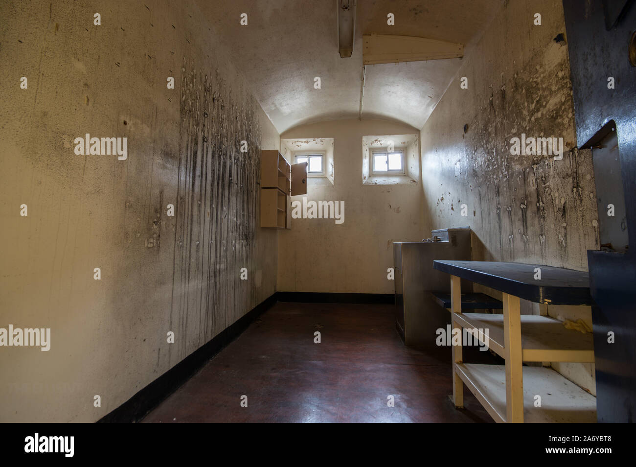 GLOUCESTER: Certain cells are said to be more active than others. One ...