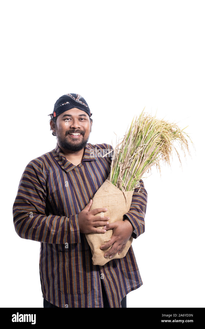 farmer with javanese traditional cloth holding rice grain Stock Photo ...