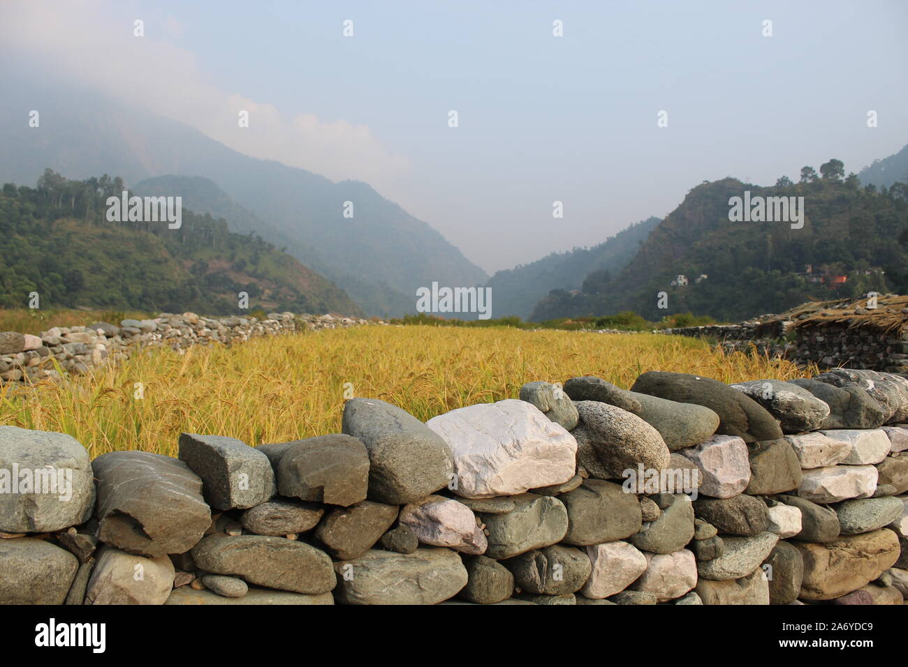 Green uttrakhand hi-res stock photography and images - Alamy
