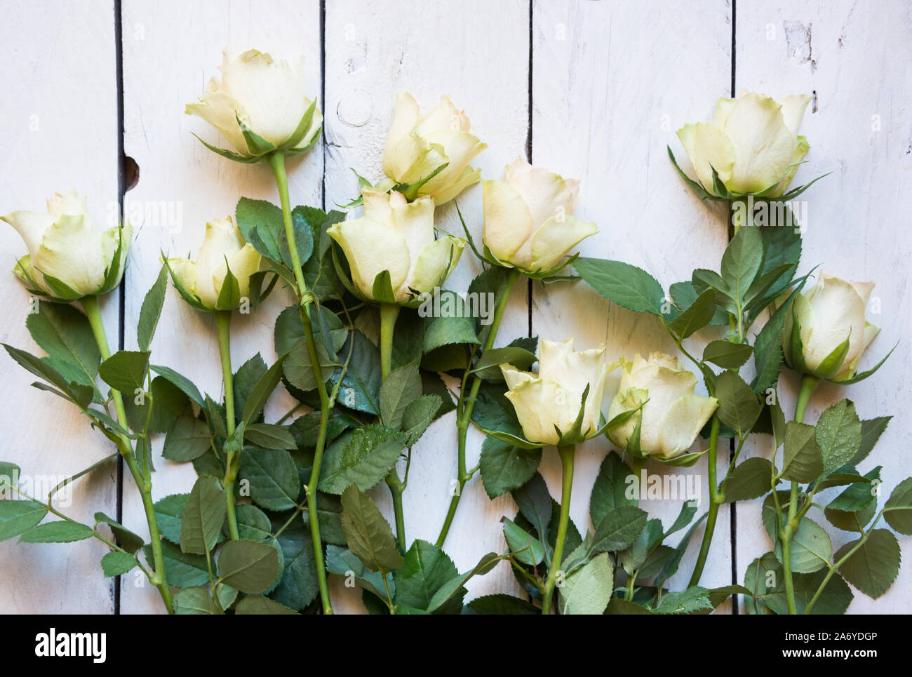 White roses bouquet hi-res stock photography and images - Alamy