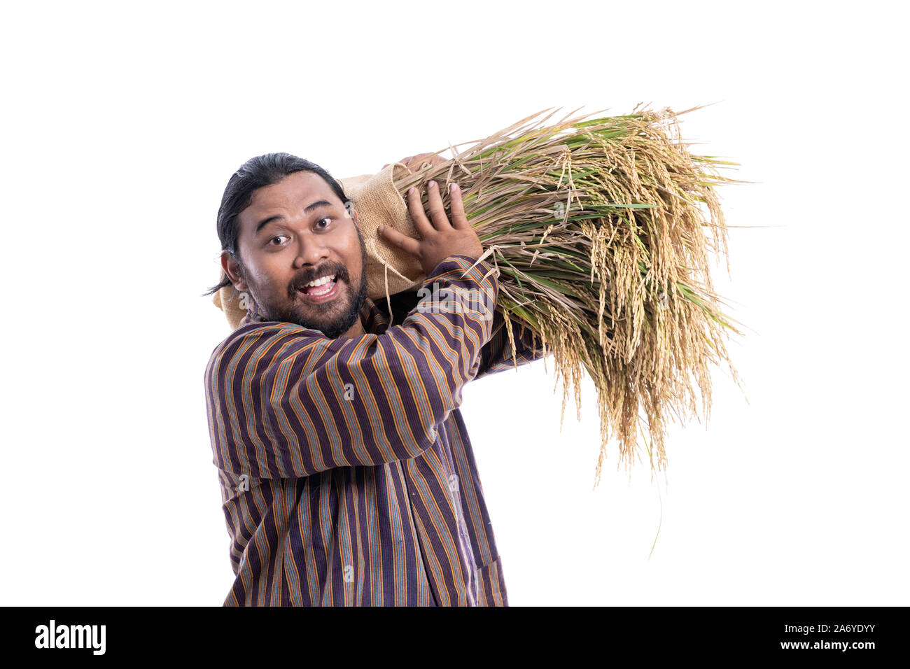 Javanese rice farmer hi-res stock photography and images - Alamy