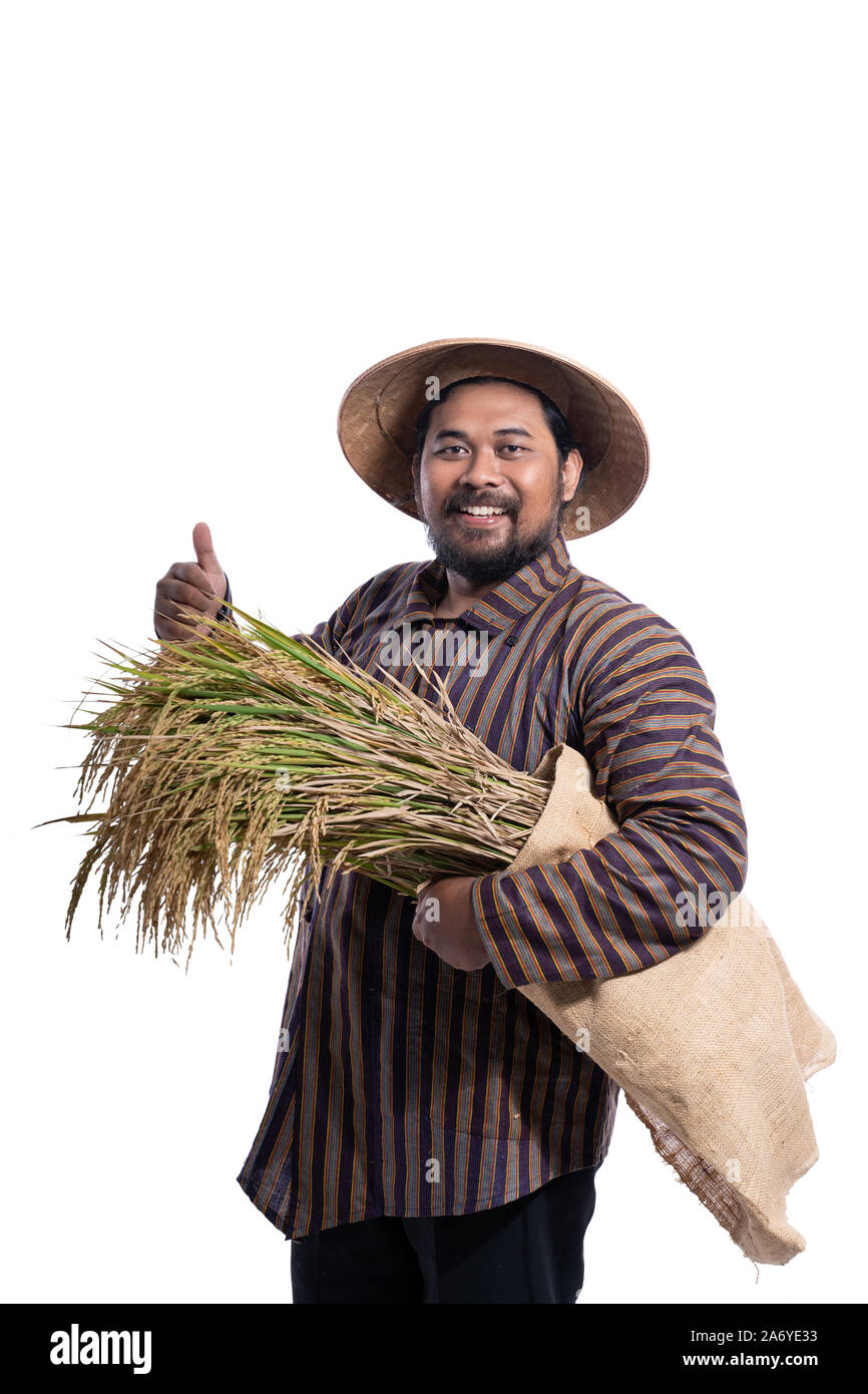 farmer holding rice grain and showing thumb up Stock Photo - Alamy