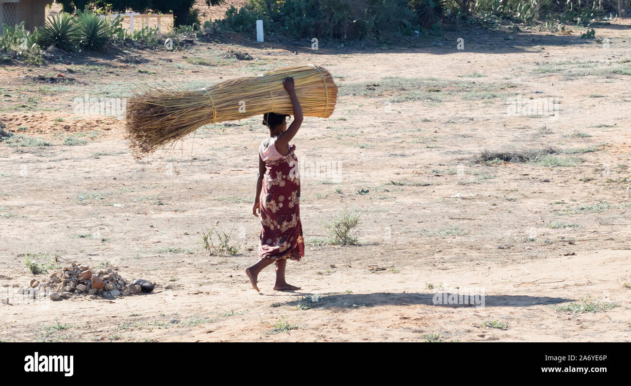 Unrecognisable woman walking with a bundle of reed, Madagascar Stock ...