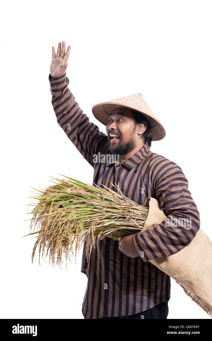farmer wave his hand and hold rice plant Stock Photo - Alamy