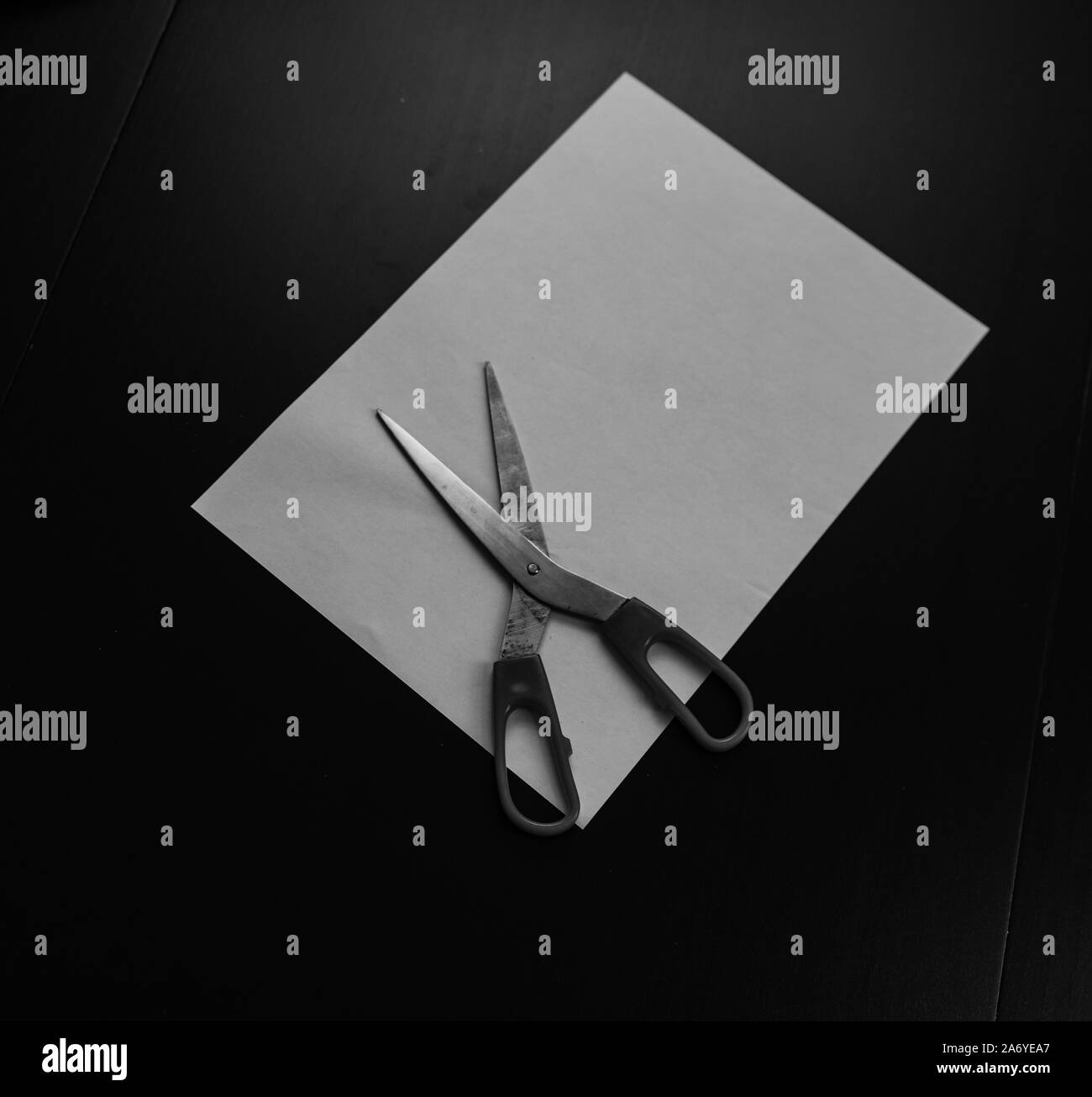 Black and white photo. Scissors on blank A4 paper. Blank paper with ...