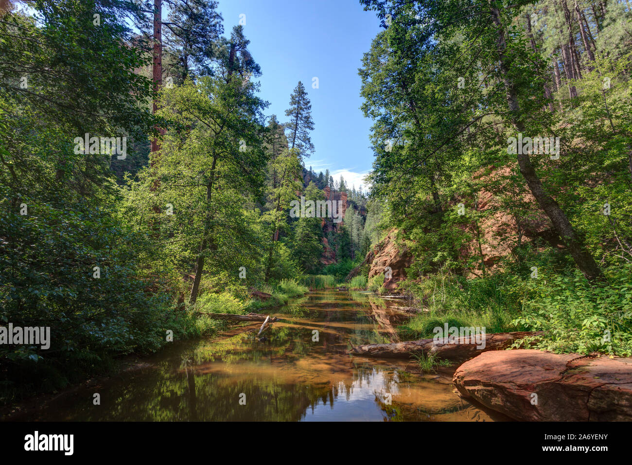 West fork trail hi-res stock photography and images - Alamy