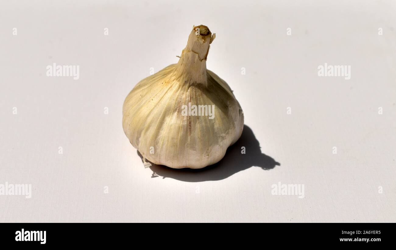 Garlic with white background. Garlic has medicinal properties. Garlic ...