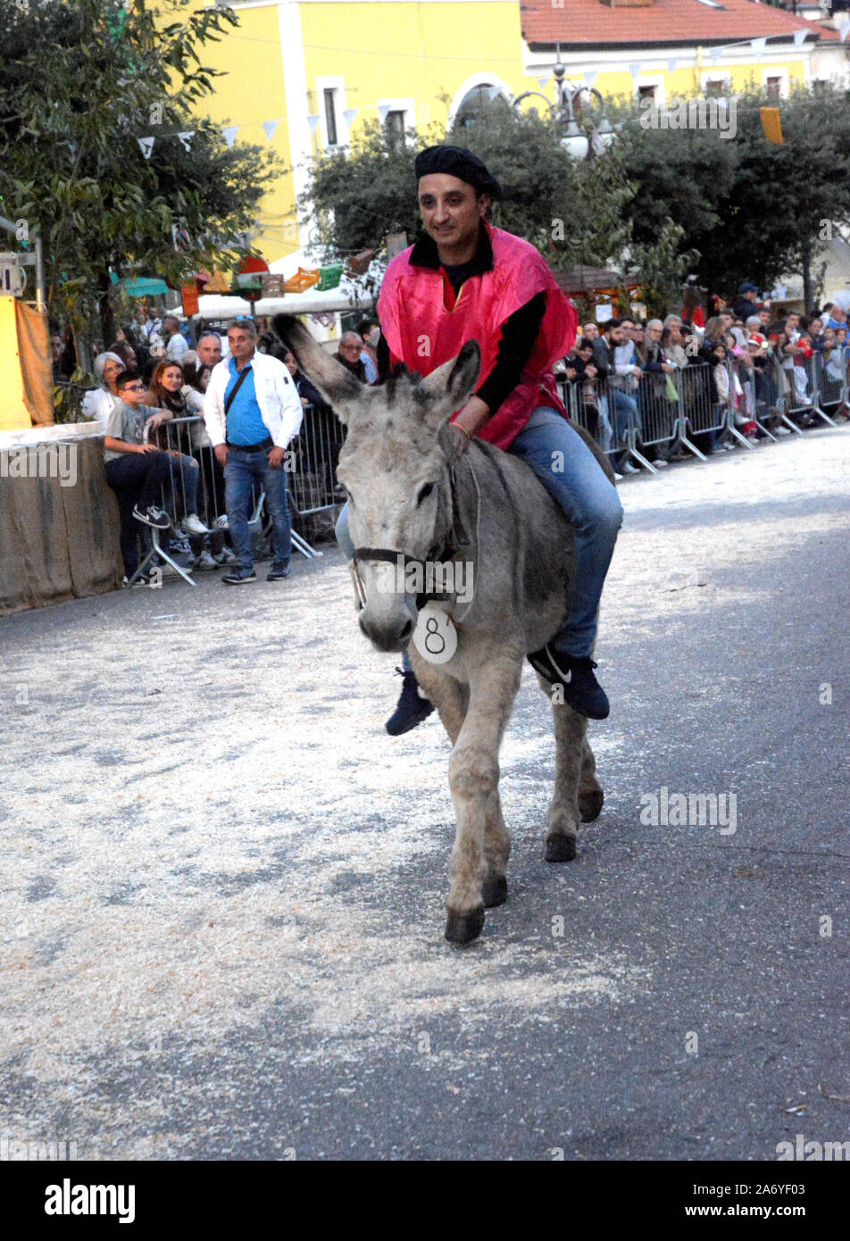 Italy : Donkey race, Medieval Festival at San Cipriano Picentino ...