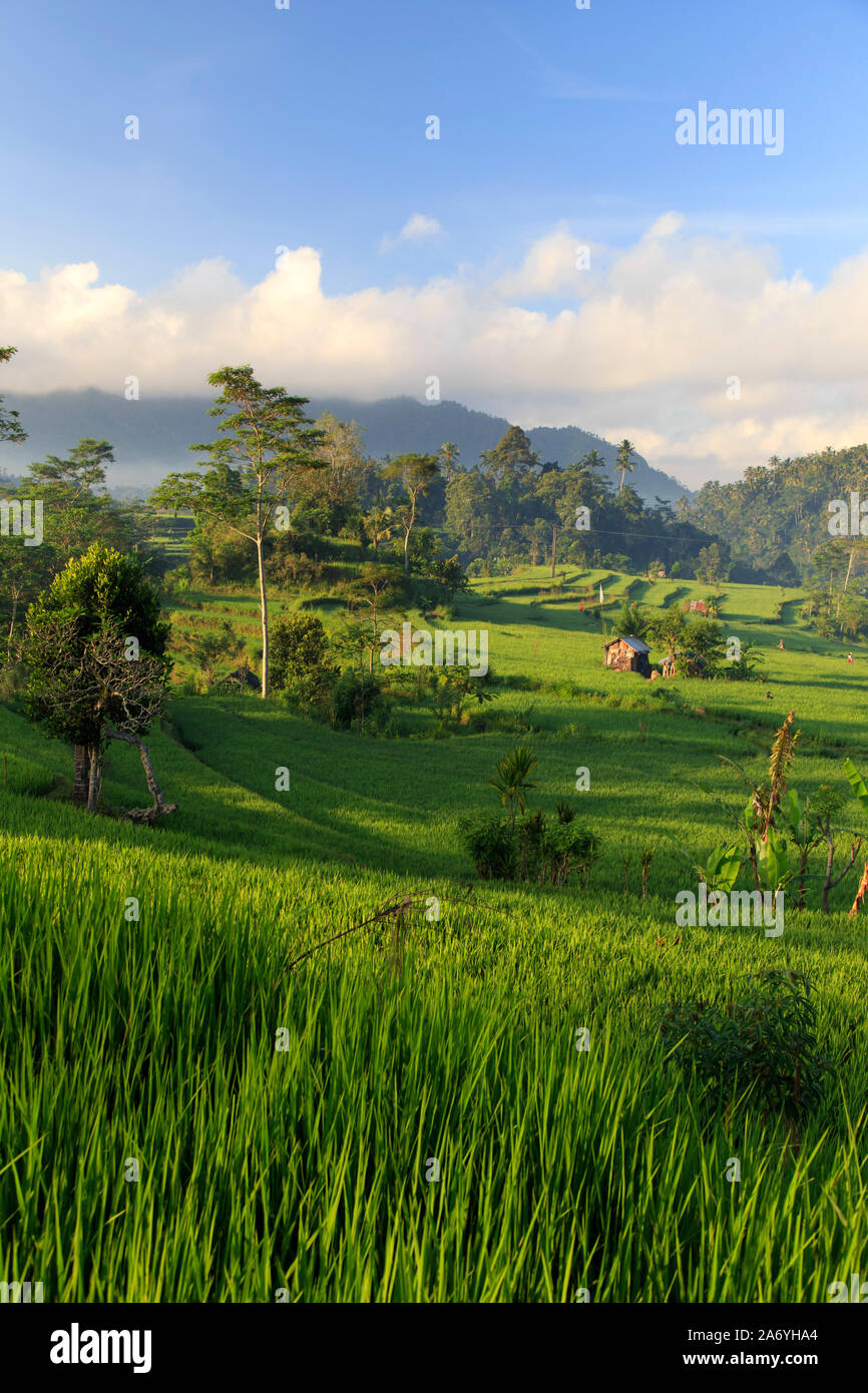 Iseh hi-res stock photography and images - Alamy