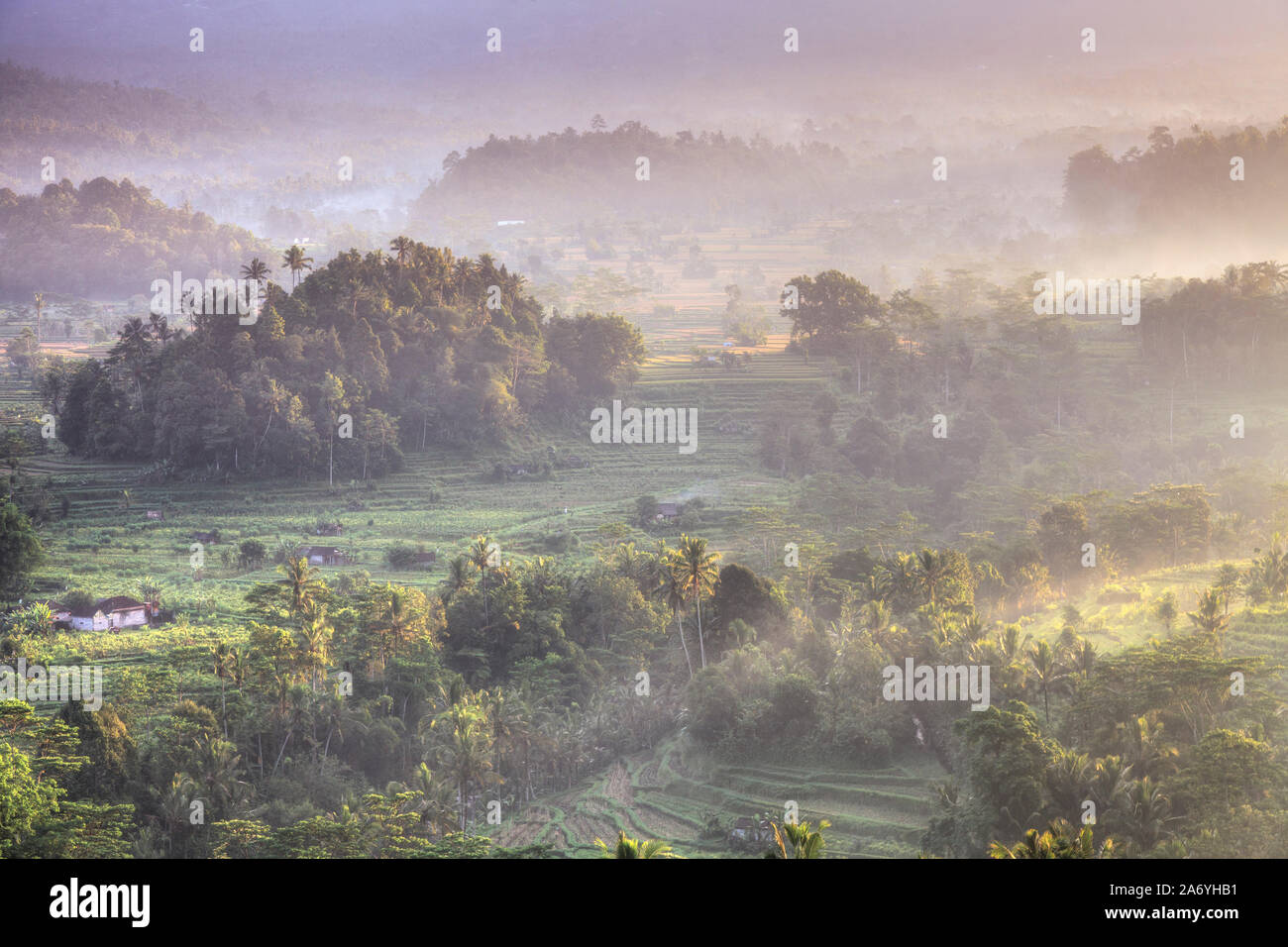 Indonesia, Bali, forest landscape on the slopes of Gunung Agung Volcano ...