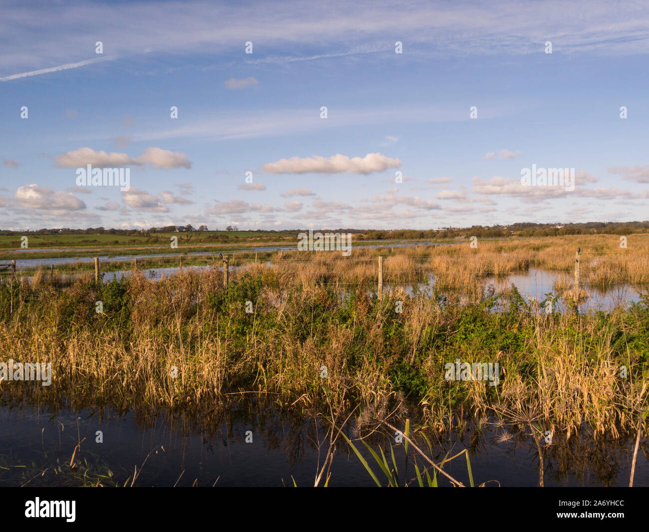 RSPB Cors Ddyga Nature Reserve formerly called Malltraeth Marsh host ...