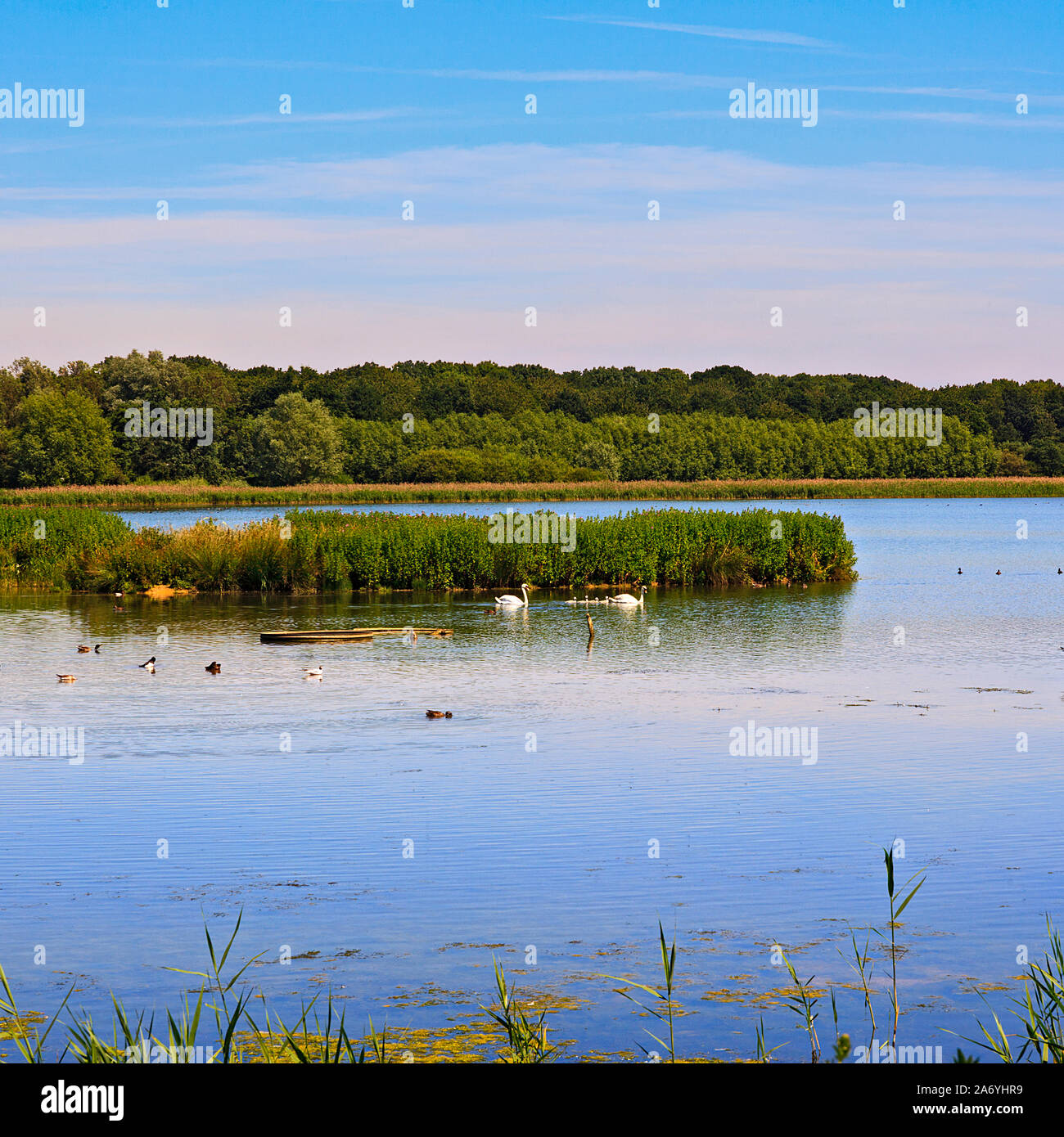 Rutland Water Nature Reserve Stock Photo - Alamy