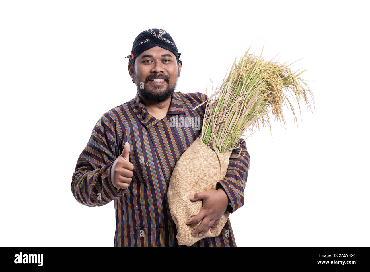 farmer holding rice grain and showing thumb up Stock Photo - Alamy