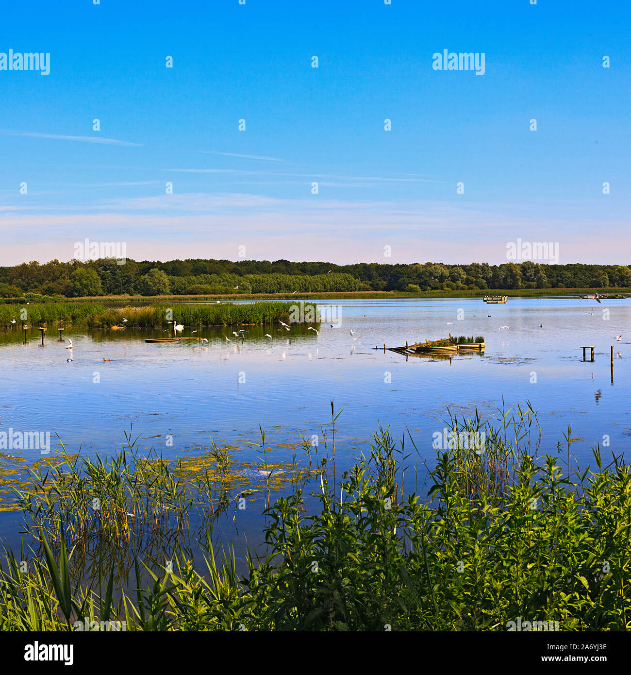 Rutland Water Nature Reserve Stock Photo - Alamy