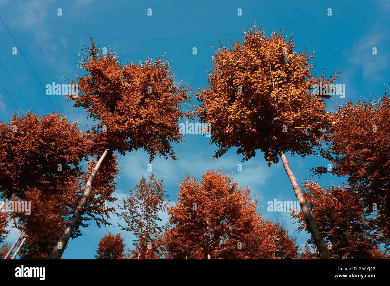 Mountain of colors hi-res stock photography and images - Alamy