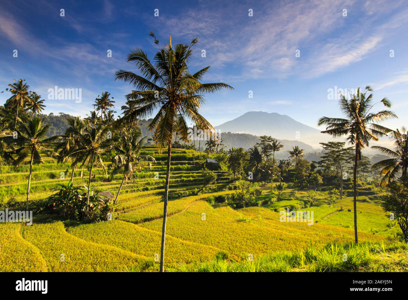 Indonesia, Bali, Sidemen, Rice Fields and Gunung Agung Volcano Stock ...