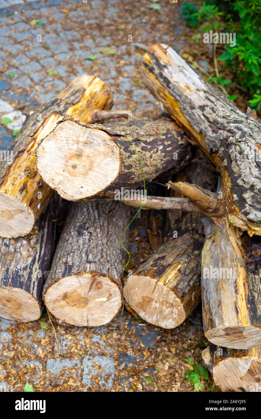 Stack of processed firewood on street stone pavement, autumn effect ...