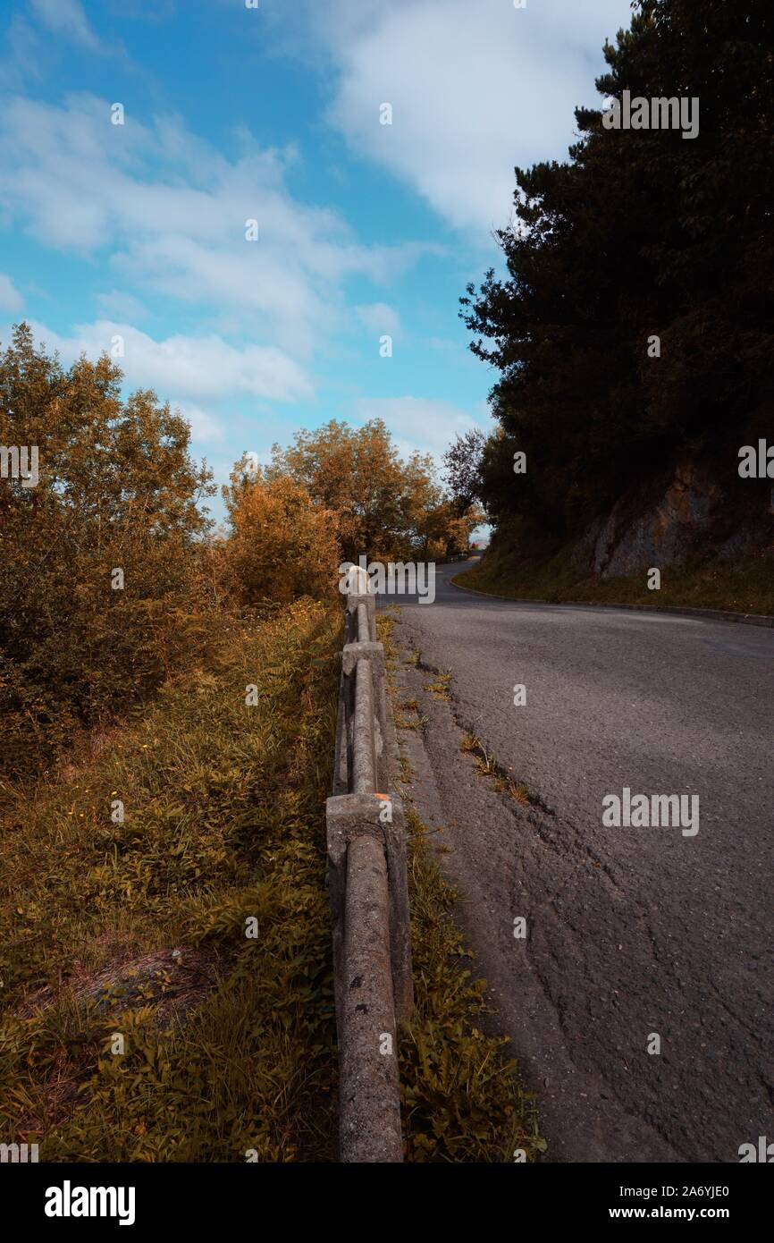 road with brown trees in autumn in the mountain, autumn colors Stock ...