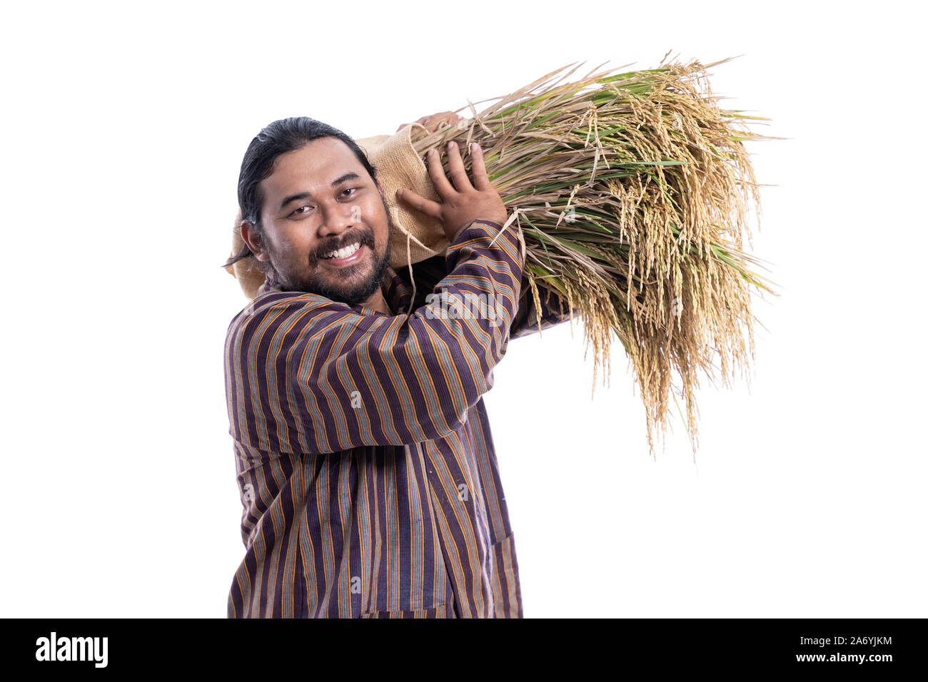 smile asian farmer holding paddy rice grain isolated on white Stock ...