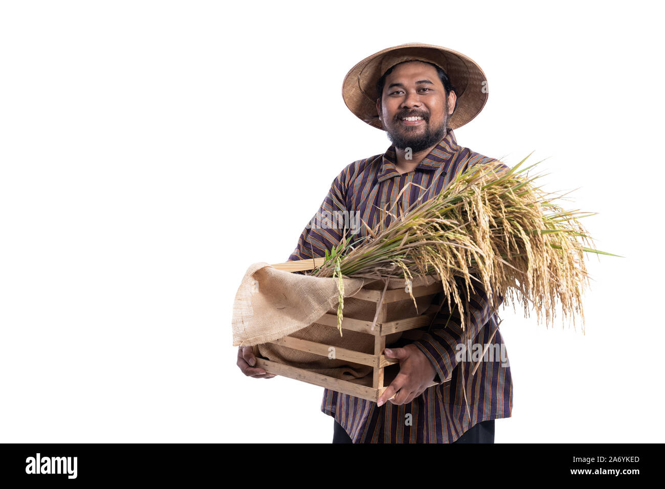 farmer with rice isolated over white background Stock Photo - Alamy