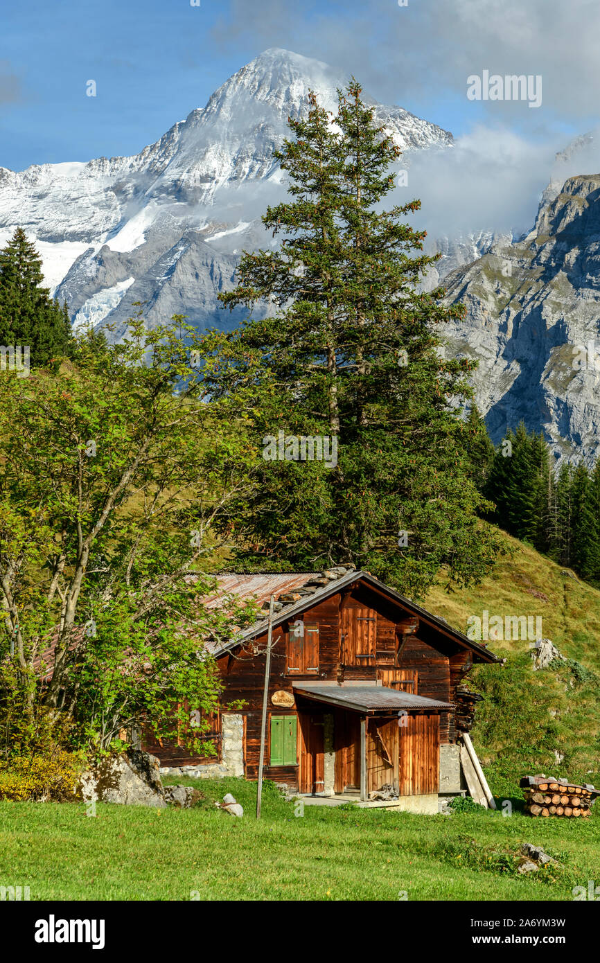 Moench vertical hi-res stock photography and images - Alamy