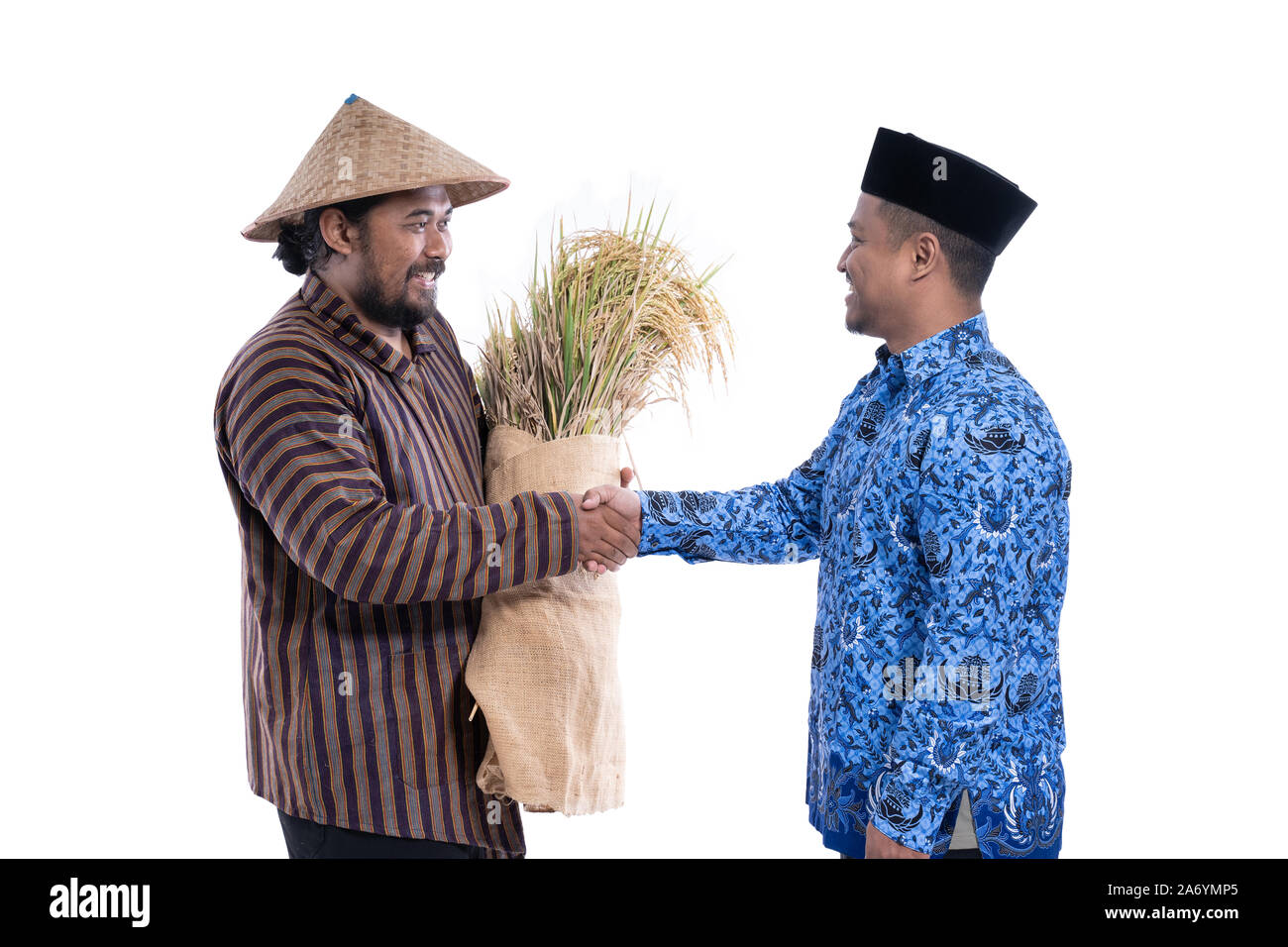 man and rice farmer shake hand together Stock Photo - Alamy