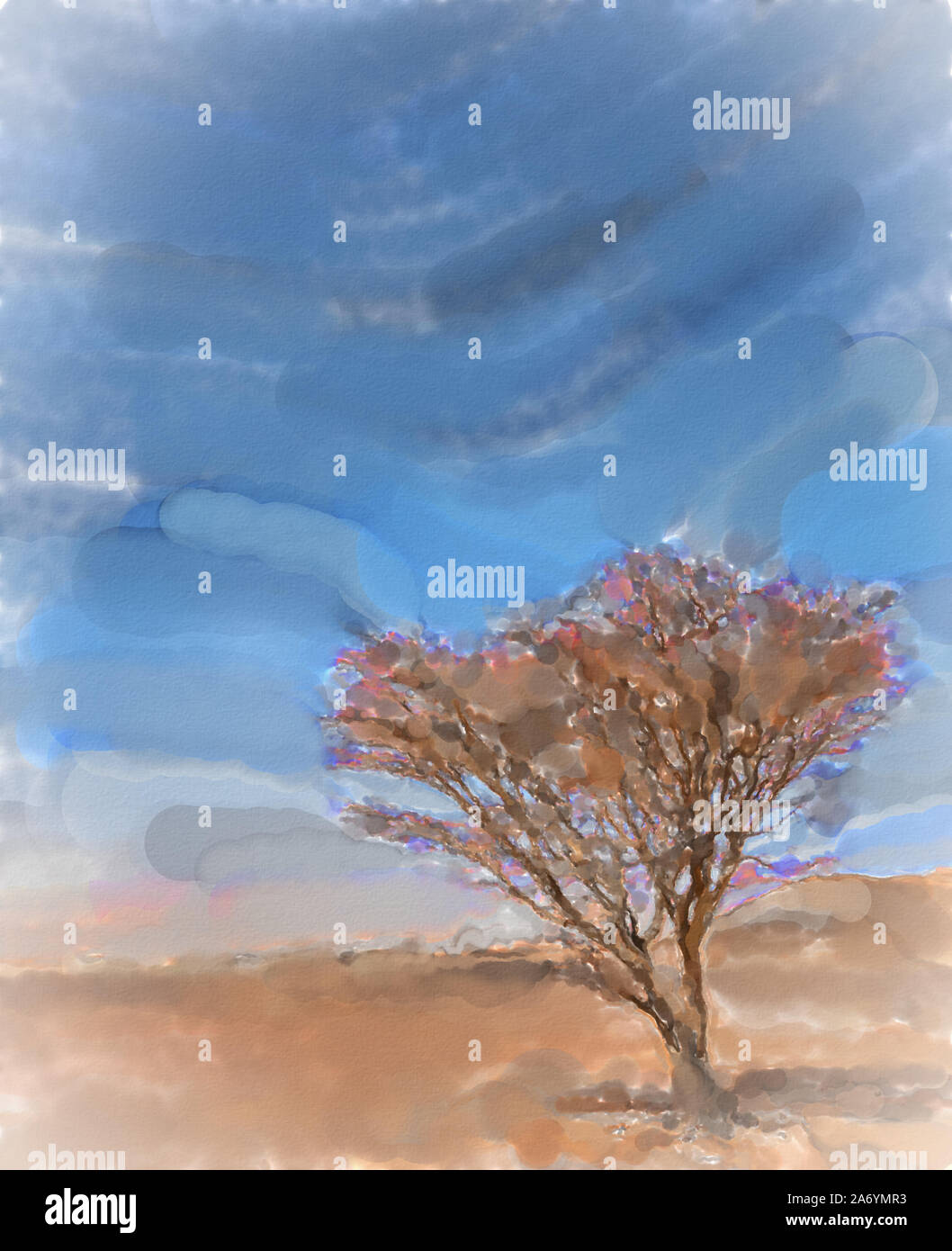 Acacia Tree Acrylic Paintings