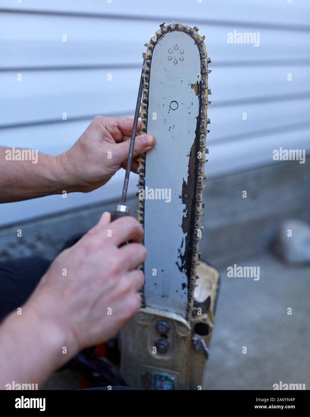 Lumberjack sharpening and tightening chain on his chainsaw Stock Photo ...
