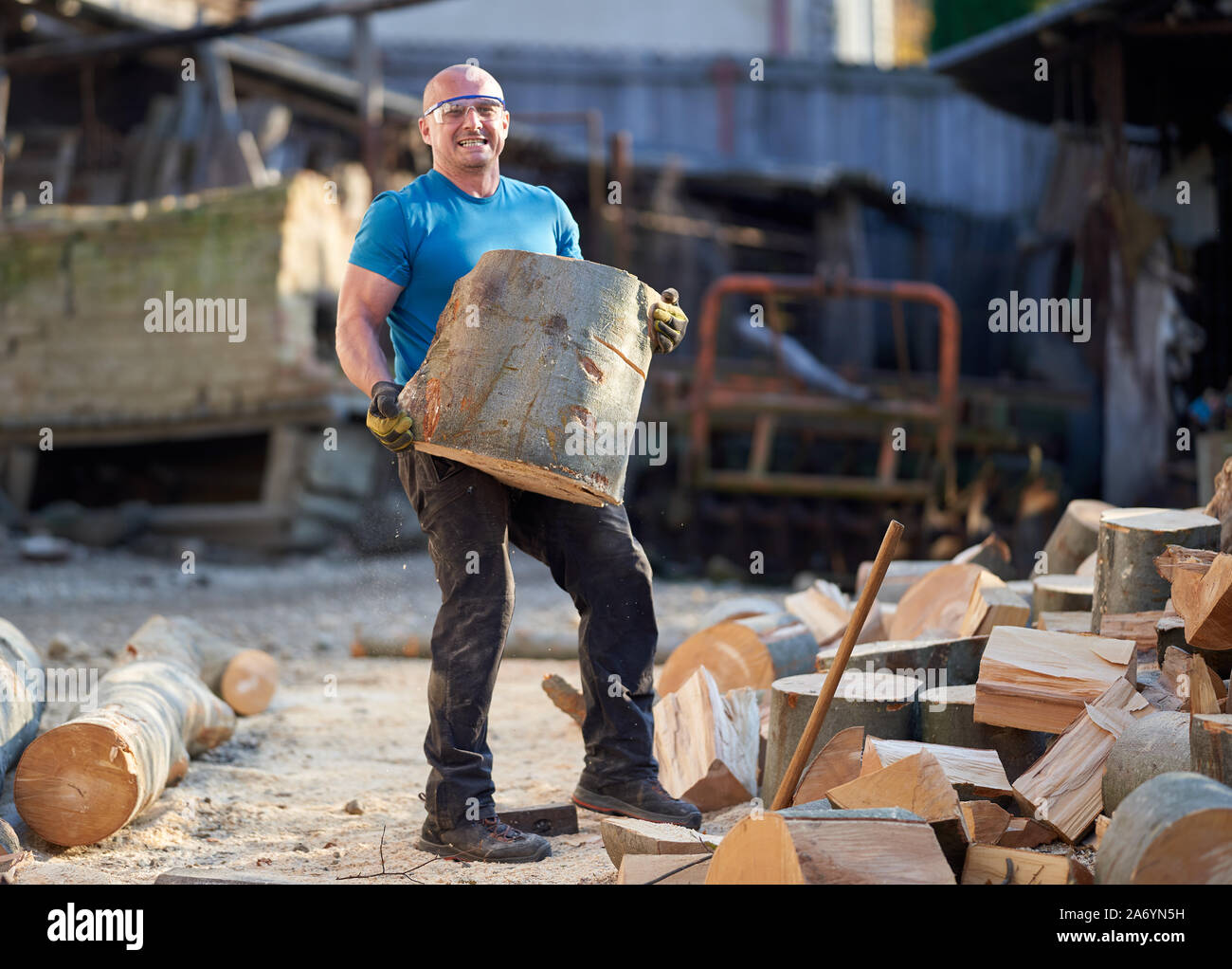 Strong lumberjack carrying a big beech log to split Stock Photo - Alamy