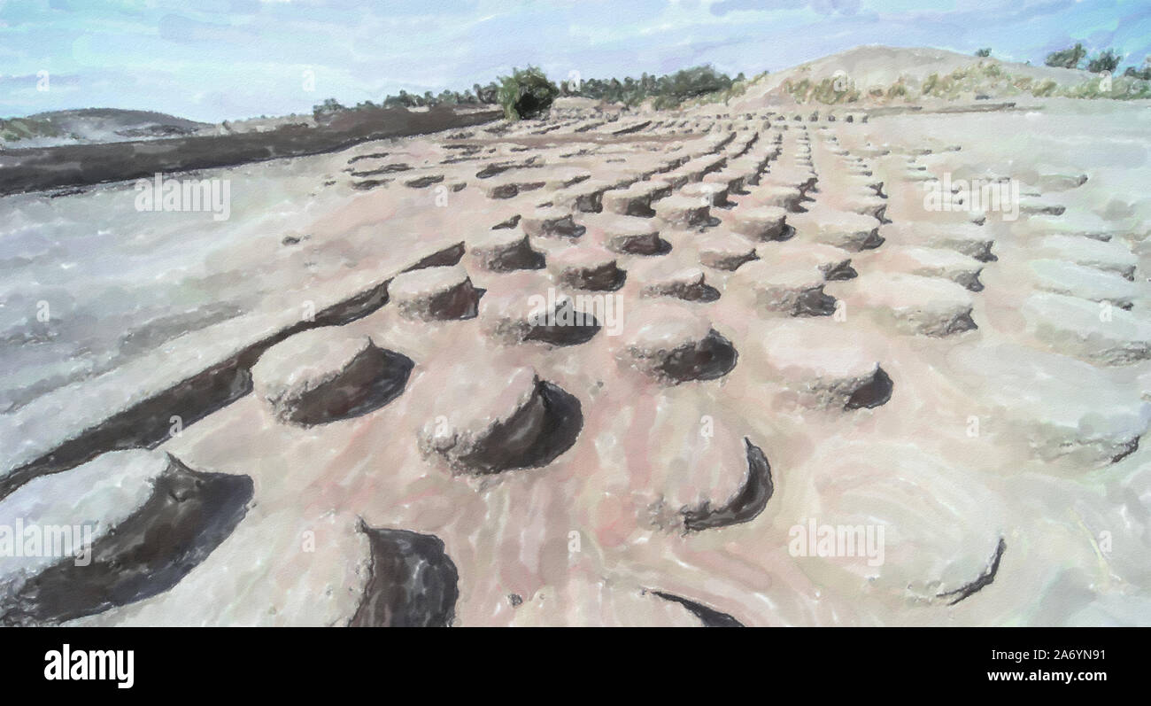 Column stumps hi-res stock photography and images - Alamy