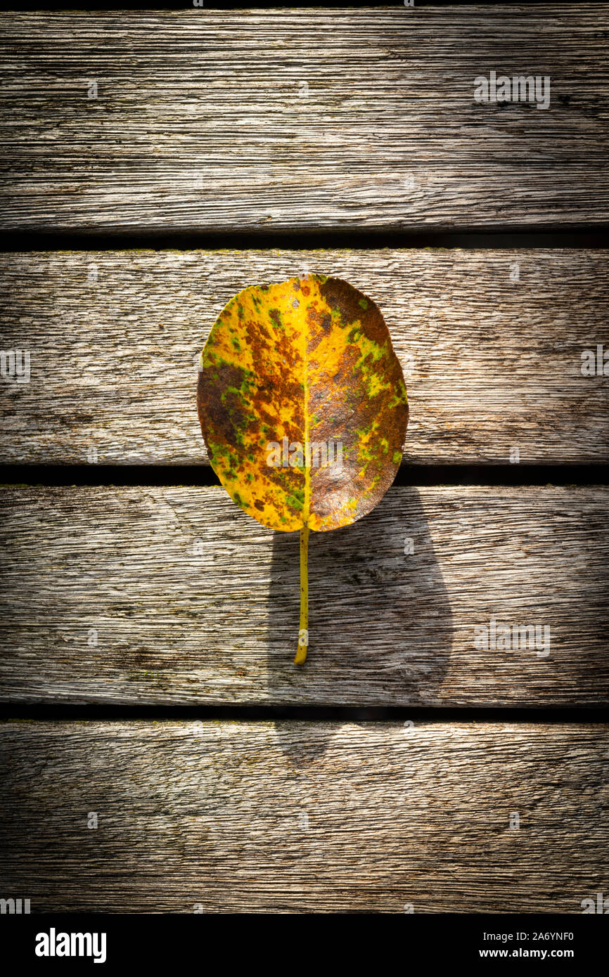 Death pear hi-res stock photography and images - Alamy