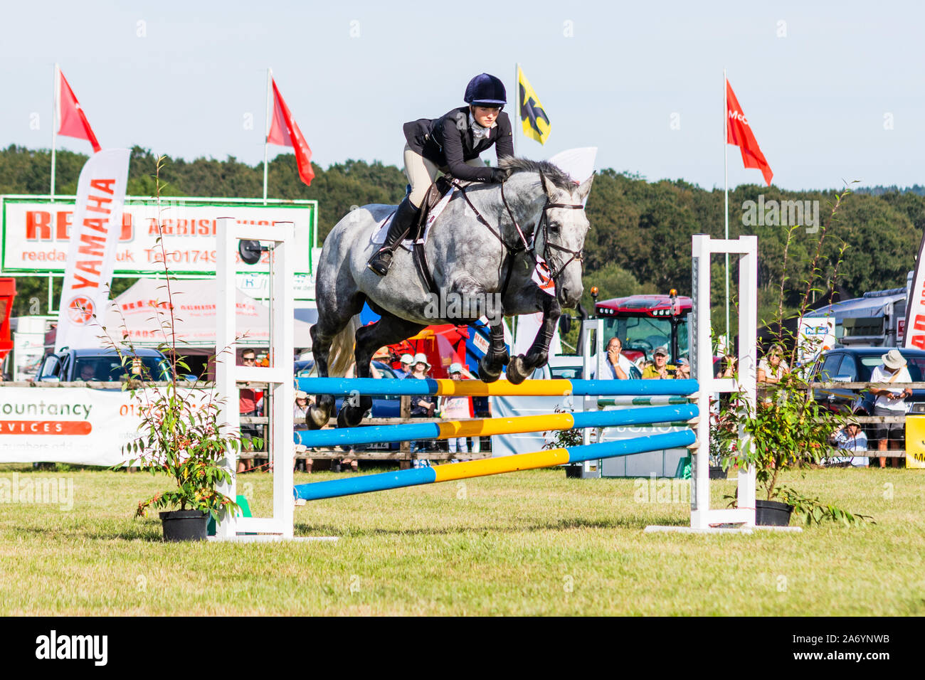 Front 3/4 view of a rider on a grey horse clearing a jump during a show ...