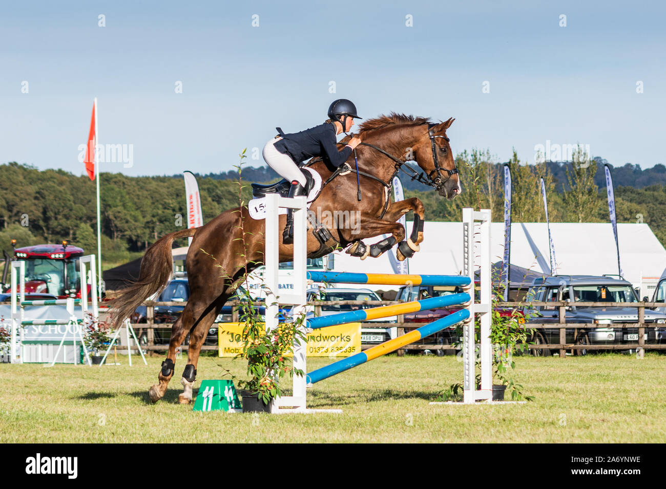 Rider jumping fence showjumping competition hi-res stock photography ...