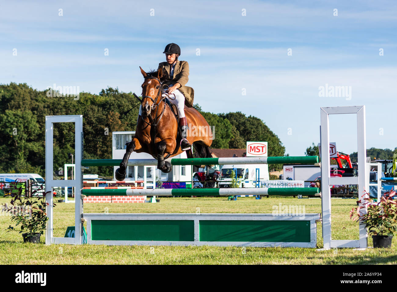 A bay horse and rider looking awkward in an amusing way in mid air ...