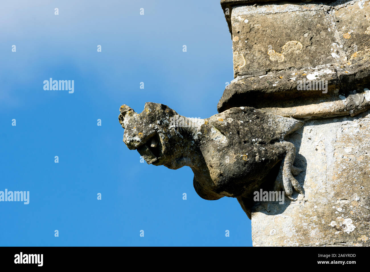A gargoyle on St. Nicholas Church, Kiddington, Oxfordshire, England, UK ...