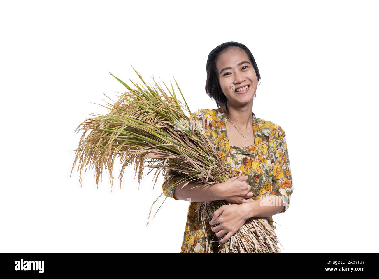asian beautiful farmer holding rice grain isolated over white Stock ...