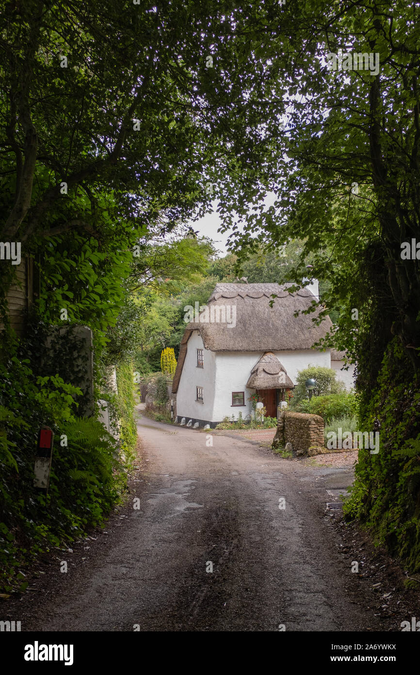 Devon england gorgeous hi-res stock photography and images - Alamy