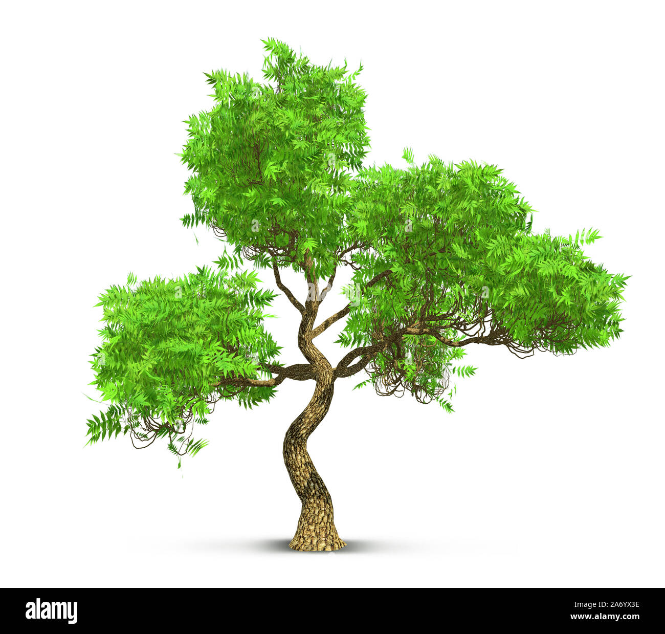 tree isolated with high detailed leaves, 3D illustration Stock Photo ...