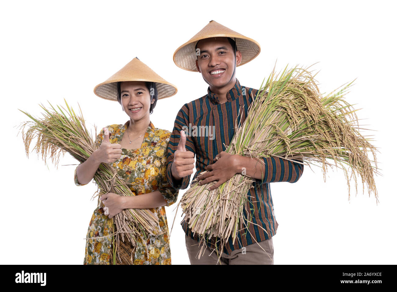 traditional male and female asian farmer with rice paddy grain in hand ...