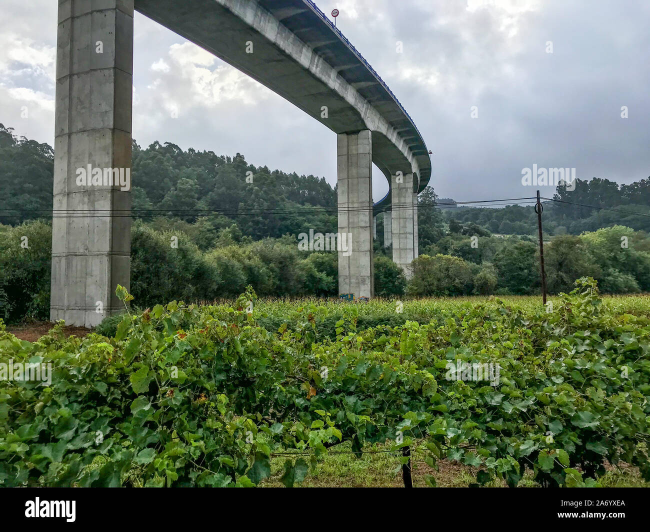 Landscape view from underneath a huge conrete flyover that stands in a ...