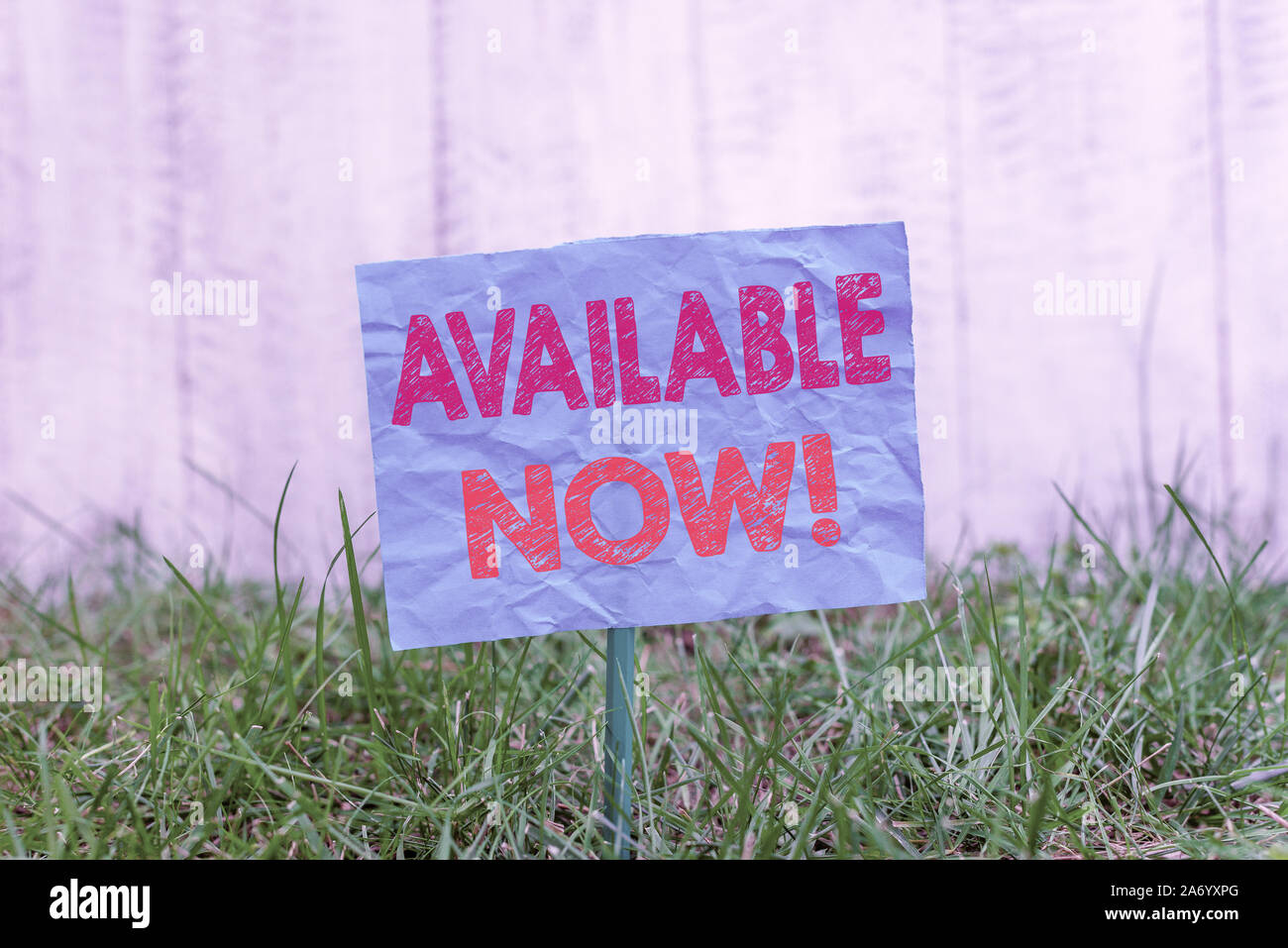 Text sign showing Available Now. Business photo showcasing you can find ...
