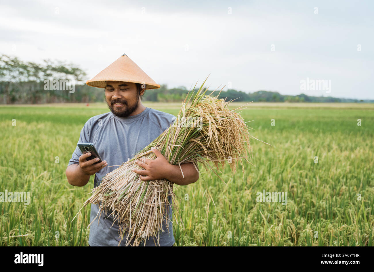 farmer using smart technology gadget for agriculture Stock Photo - Alamy