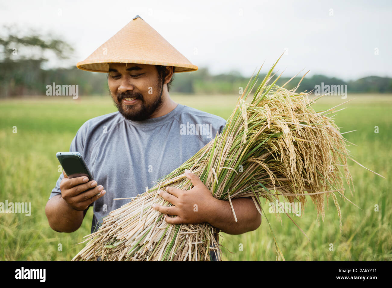 farmer using smart technology gadget for agriculture Stock Photo - Alamy