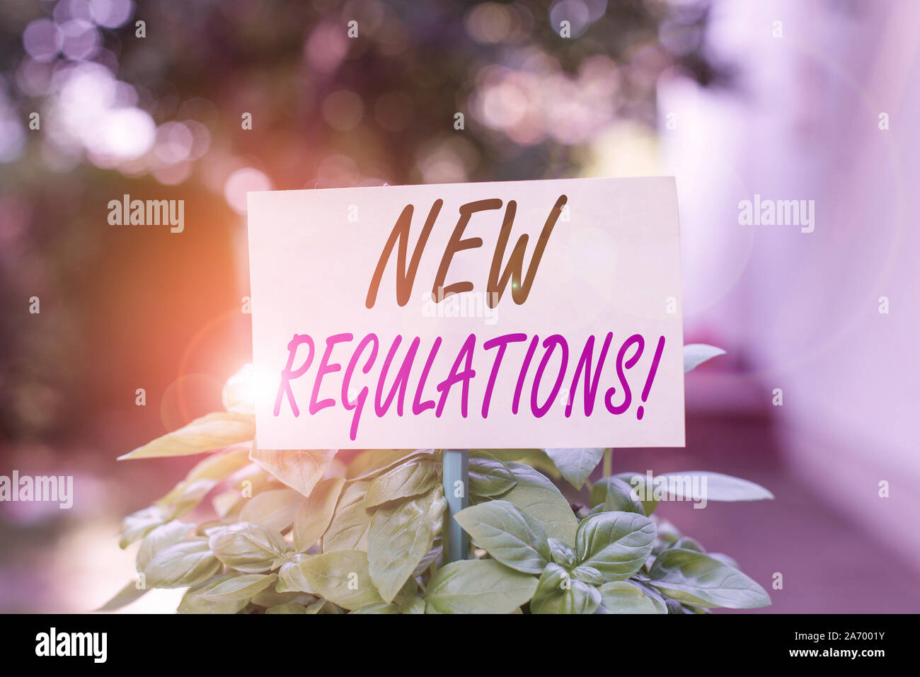Handwriting text writing New Regulations. Conceptual photo rules made ...
