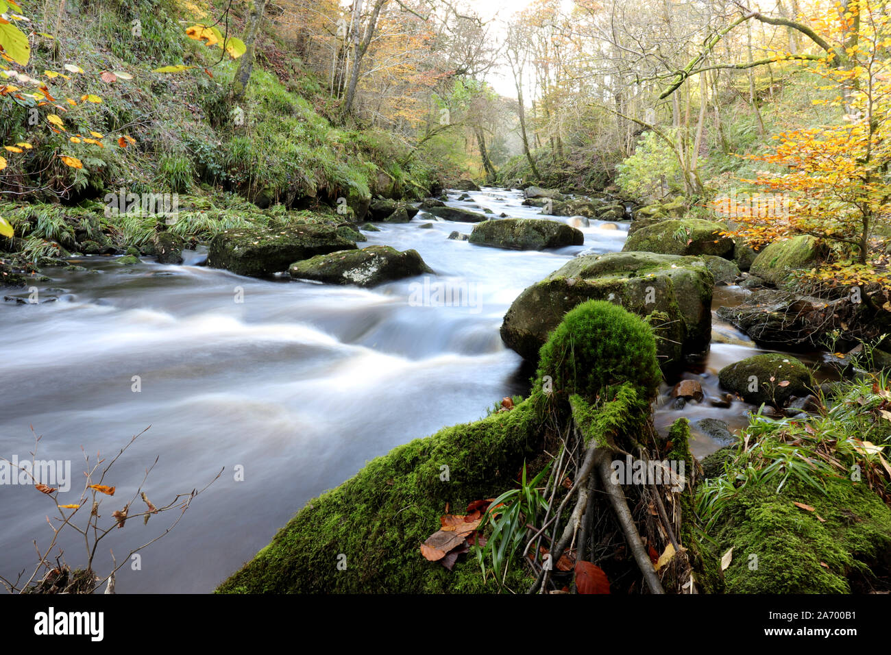 River in Autumn Stock Photo - Alamy