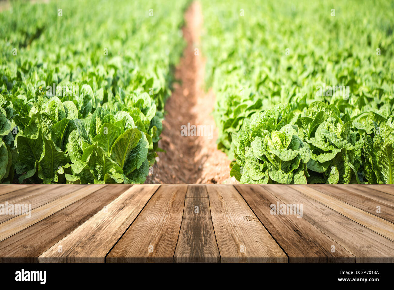 Wooden Board Product Display Montage or Background. Organic Food ...