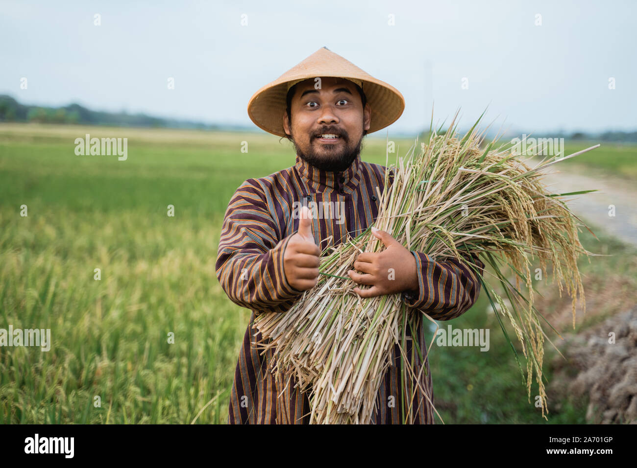 farmer holding rice grain and showing thumb up Stock Photo - Alamy