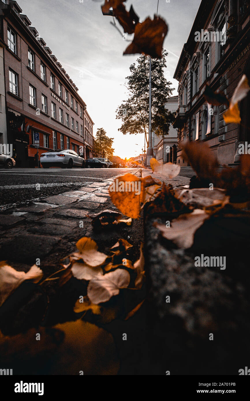 Cannon lens hi-res stock photography and images - Alamy