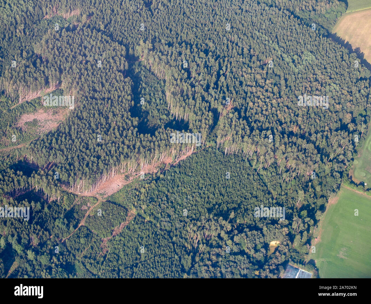 aerial view of the black forest in Germany Stock Photo - Alamy